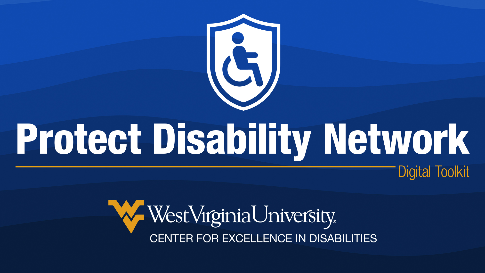 Protect Disability Network Digital Toolkit | Center for Excellence in Disabilities